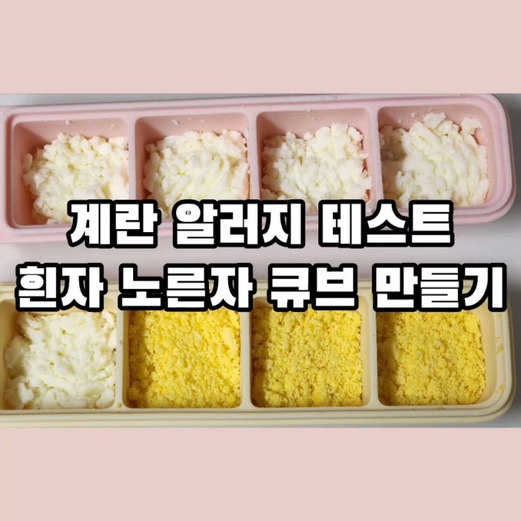 계란 알러지 테스트 흰자 노른자 이유식 큐브 만들기 계란 안 깨지게 삶는 법 네이버 블로그