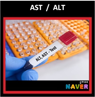 AST ALT 수치 높을때 또는 낮으면? : 네이버 블로그