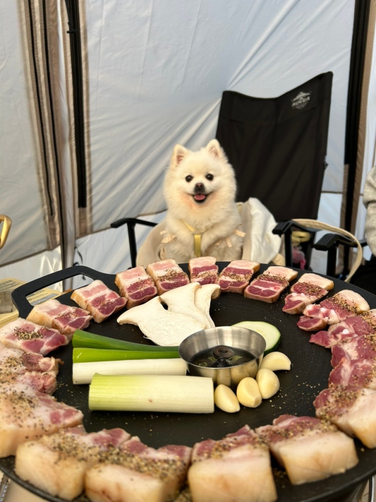 청주 야외 바베큐 맛집 캠핑펍글러브 애견동반 식당 추천 네이버 블로그
