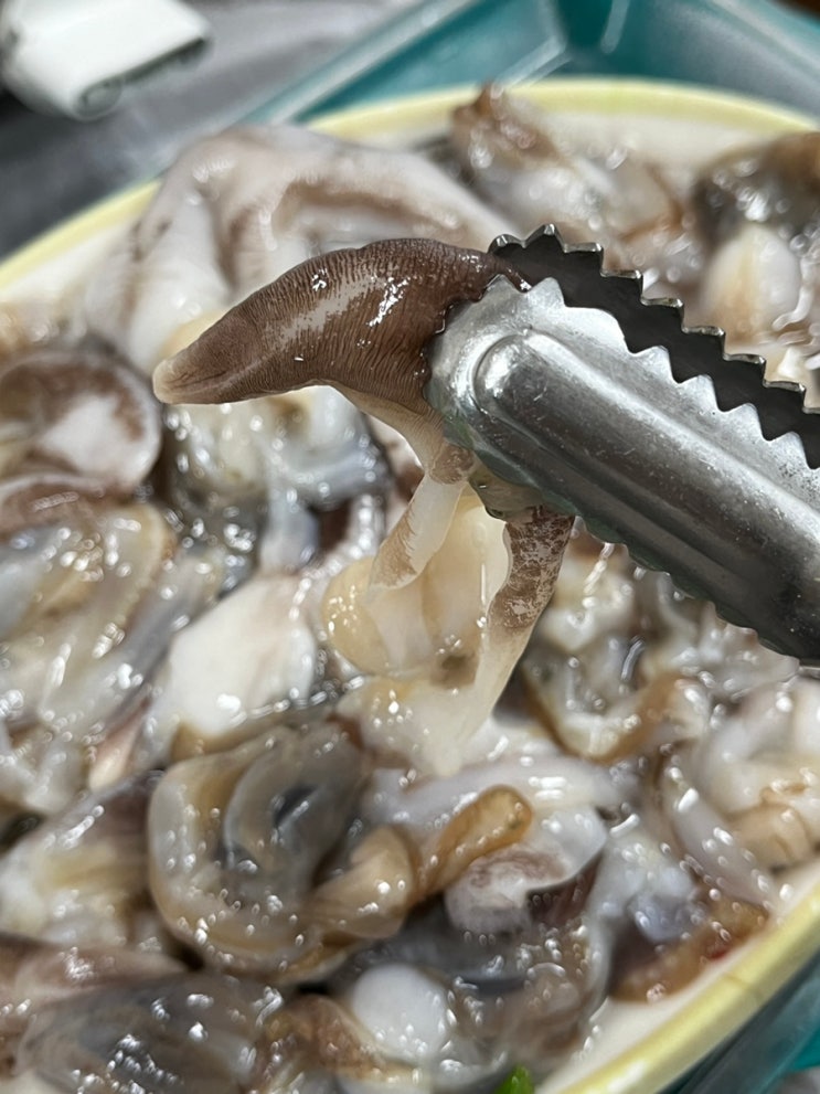 남당항새조개축제 샤브샤브 맛집 또오리회수산 방문 후기 네이버 블로그