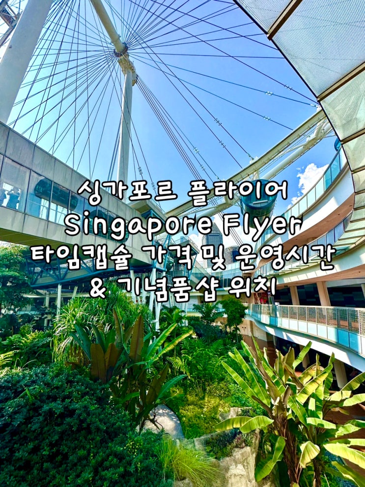 싱가포르 플라이어 예약 및 운영시간 Singapore Flyer : 네이버 블로그