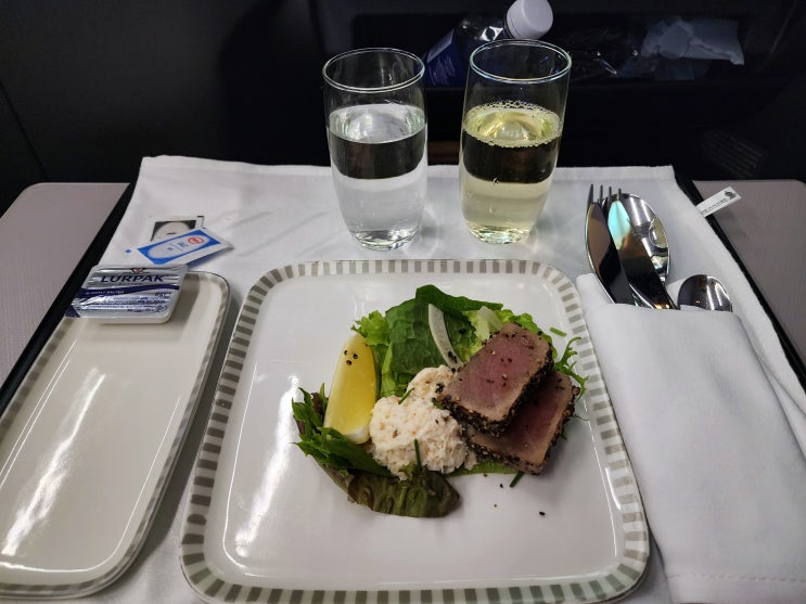 SQ437 싱가포르 항공 보잉737 비즈니스 탑승 후기 (Boeing737 MAX8 말레에서 싱가폴) : 네이버 블로그