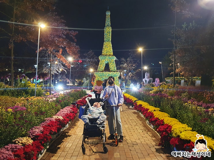 야경이 너무 예쁜 유림문화공원 유성국화전시회 대전 유성구 봉명동 가을여행 꽃축제 야간경관 특화존 노상주차장 푸드트럭존 아이와