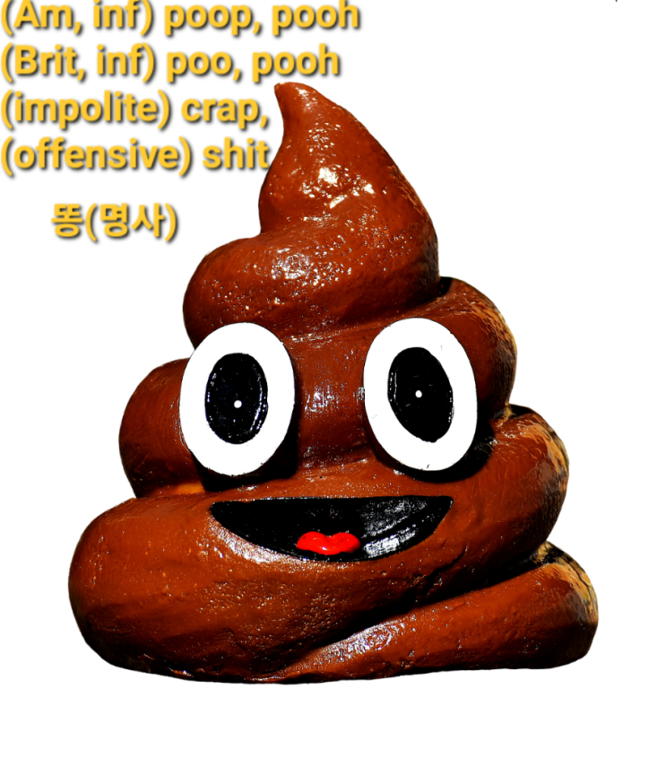영어로 화장실 가다, 소변(대변)보다, 똥, 오줌 pee, piss, urinate, poop, poo, pooh, crap ...