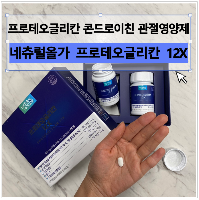 프로테오글리칸추천 콘드로이친 무릎관절영양제 정보가격 네츄럴 올가 프로테오글리칸 12x 네이버 블로그