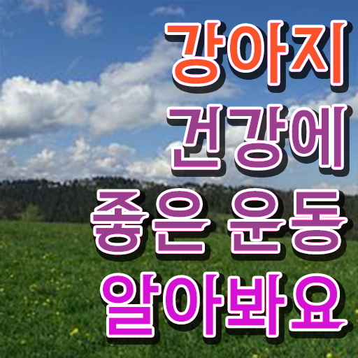 반려견운동지도사 자격증 준비방법 알아보셨나요 ?! : 네이버 블로그