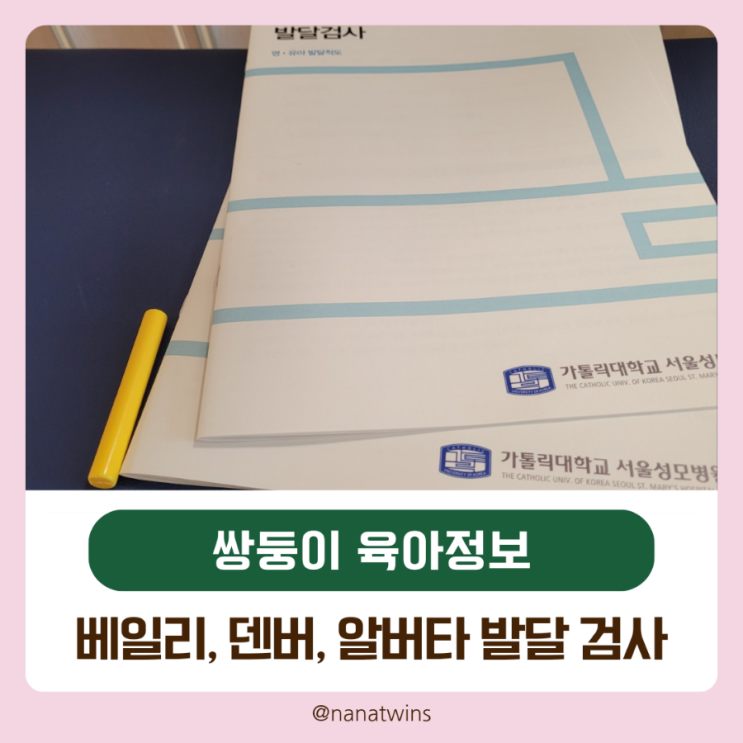 베일리 검사 결과와 비용 덴버 테스트 알버타 3가지 영유아 발달 지연 검사 소아재활 12회차 네이버 블로그