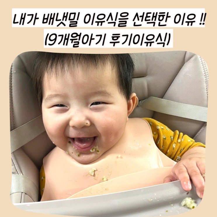 내가 배냇밀 시판이유식을 선택한 이유 9개월아기 후기이유식 네이버 블로그