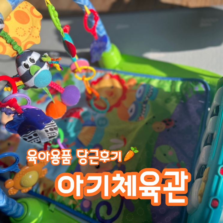 국민육아템 피셔프라이스 아기체육관 활용방법과 사용시기 출산선물 추천 네이버 블로그
