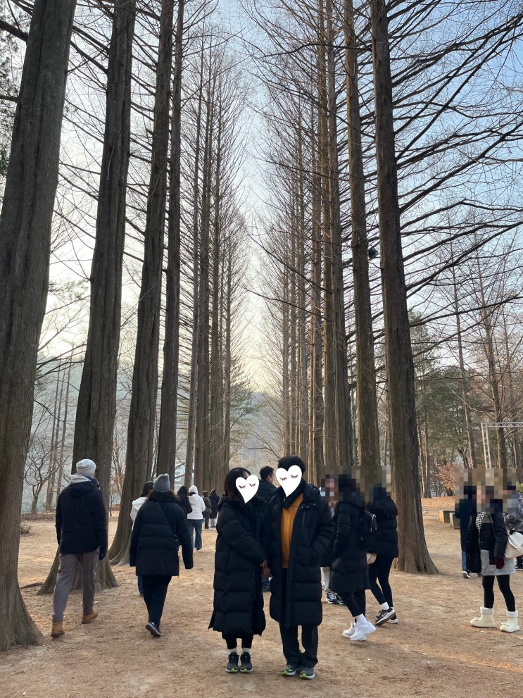 겨울 여행지) 겨울 남이섬, Snow Land (3) 풍경 즐길거리 하늘자전거 : 네이버 블로그