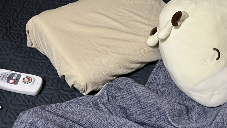 2023년 연말 결산 소비 일기 (내돈내산 잘산템/무난템/후회템) : 네이버 블로그