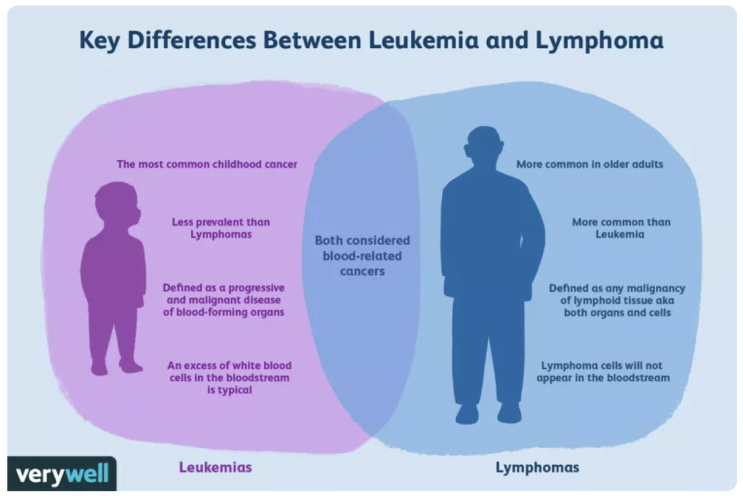 Leukemia (백혈병) vs. Lymphoma (림프종) : 네이버 블로그