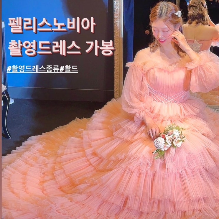 드레스가봉ᰔ펠리스노비아 촬영드레스 종류 And 선택 팁 네이버 블로그