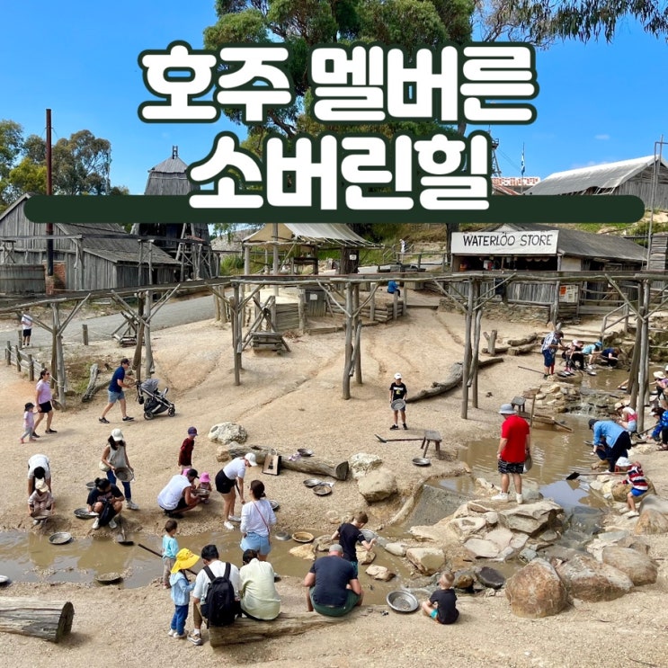 호주 한달살기 멜버른 여행 소버린힐 아이와 가볼만한곳 대중교통으로 가기 네이버 블로그