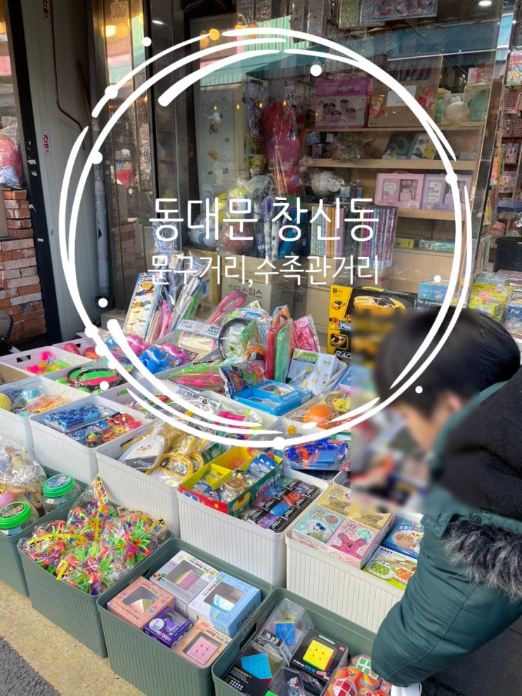1월 겨울 데이트코스 동대문 창신동 문구거리완구거리수족관상가앵무새거리 아이랑 가볼만한곳 청계천까지 네이버 블로그