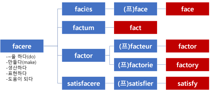어원이 facere인 단어(1) : face, fact, factor, factory, satisfy : 네이버 블로그