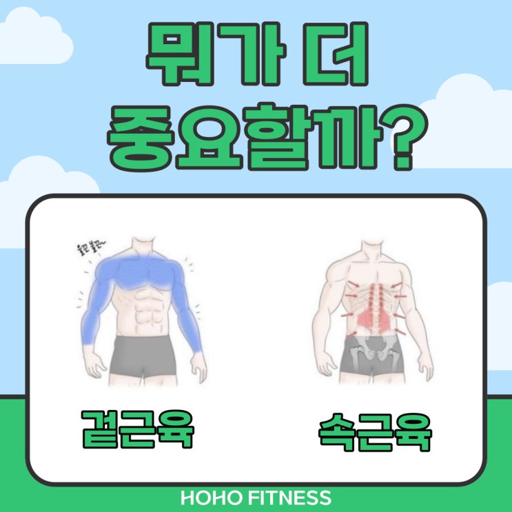 마산 완월동 Pt 헬스장 속근육 겉근육 운동 네이버 블로그