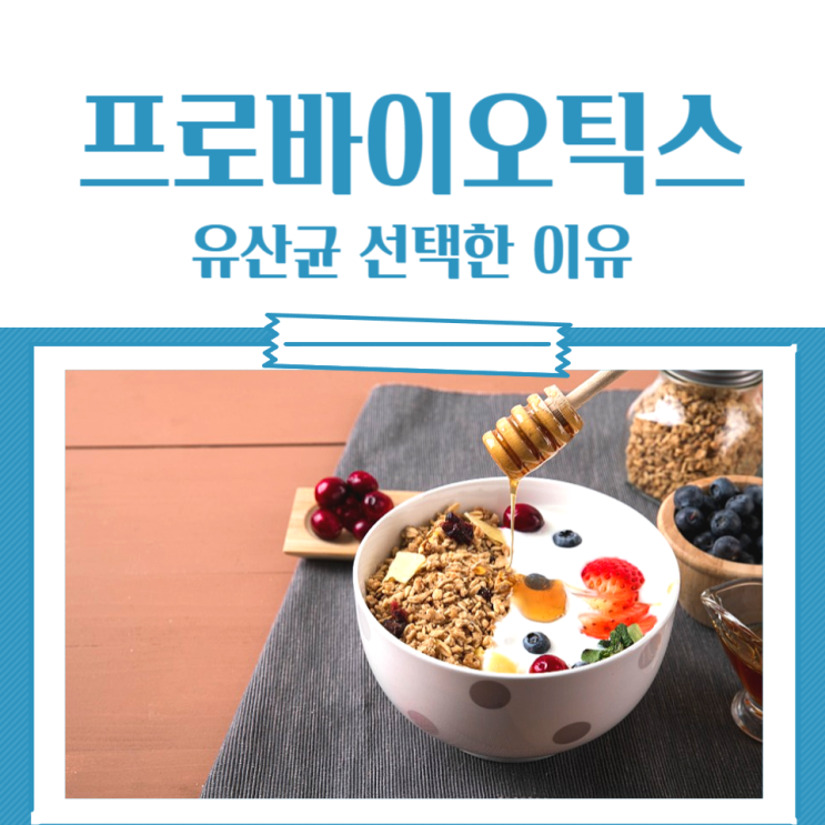 프로바이오틱스 유산균 먹는 시간 및 효능 섭취시간 네이버 블로그
