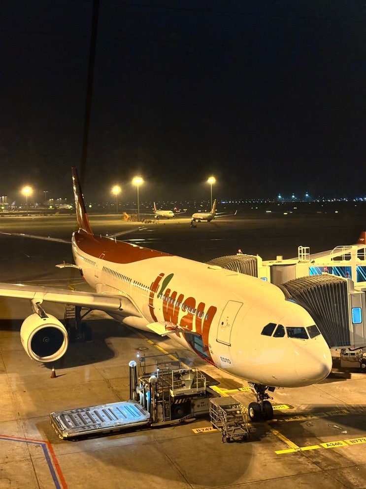 [호주 여행] 시드니 직항 티웨이 TW501 / TW502 비행 후기,온라인 체크인 좌석 추천,기내식 후기 : 네이버 블로그