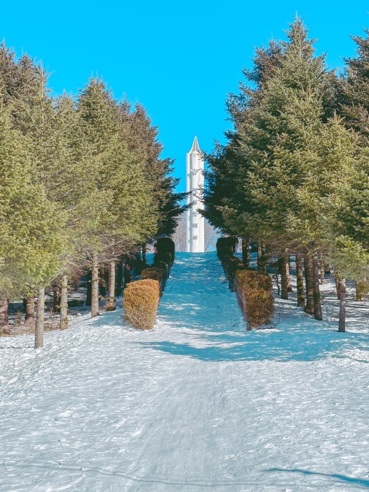 겨울여행지추천 강원도 평창 놀거리 대관령 겨울 오대산 국립공원 설경 눈썰매 네이버 블로그