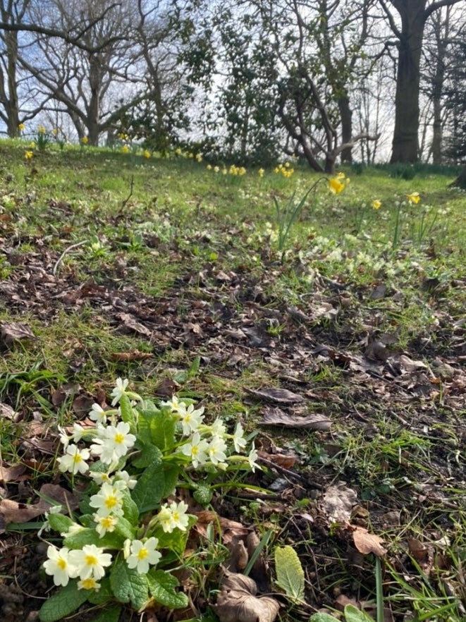 이른 봄에 쓴 시 - 자연은 아름다운 신성한 작품 : 네이버 블로그