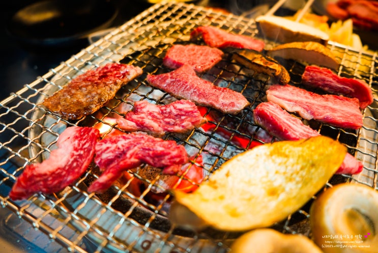 대구 수성구 들안길 좋은 고기와 합리적인 가격을 맛볼 수 있는 들안길 한우 갈빗살 맛집 장프로한우갈빗살 네이버 블로그