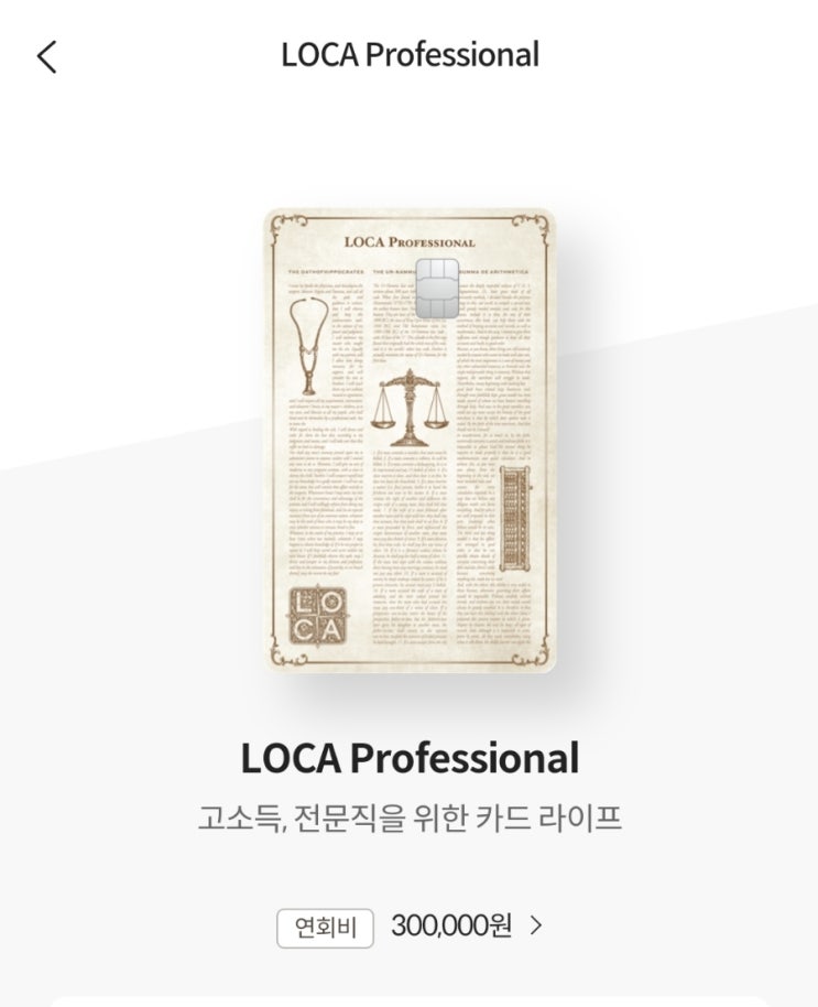 LOCA Professional 로카 프로페셔널 카드 : 네이버 블로그