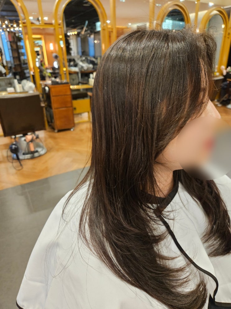 선릉역 미용실 준오헤어 선릉테헤란로점 남지부원장 레이어드펌 후기 네이버 블로그