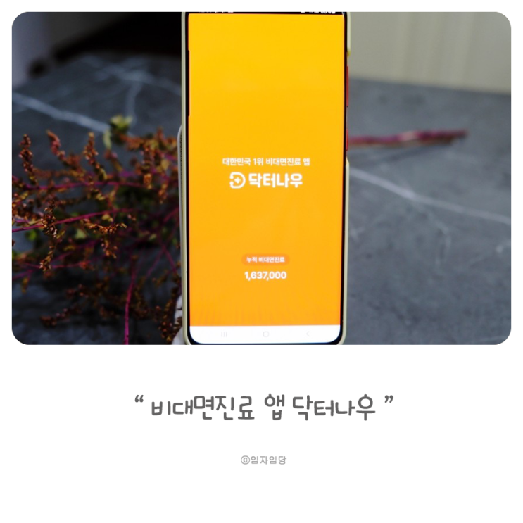 비대면진료 어플 닥터나우앱 감기약 처방부터 약배송 대상자 확인까지 시범사업 네이버 블로그
