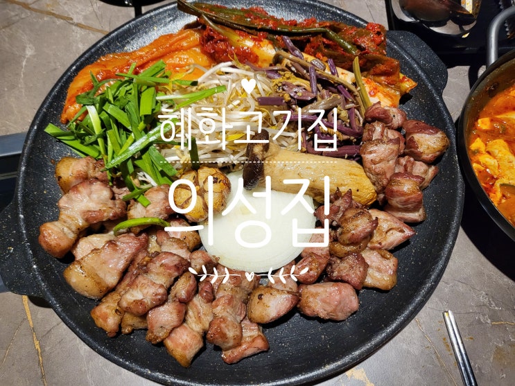 서울 종로 통낙지 한마리가 들어간 순두부찌개에 구워주는 혜화고기집 의성집 네이버 블로그