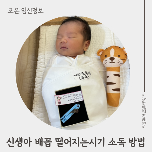 신생아 배꼽 소독 약 제대탈락 언제까지 관리방법 네이버 블로그