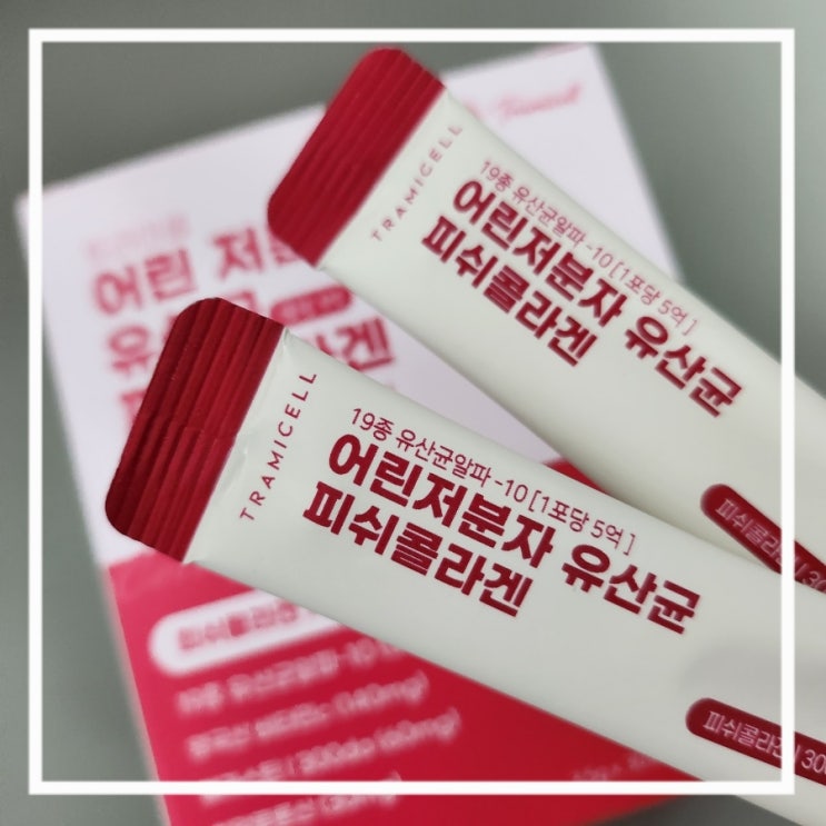 콜라겐추천 어린저분자 유산균 피쉬콜라겐 올인원 이너뷰티템콜라겐유산균비타민엘라스틴 네이버 블로그