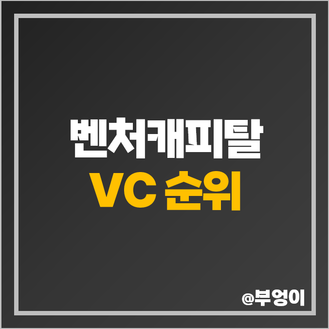 국내 벤처캐피탈 VC 순위 종류 자산 부채 자본 순이익 건전성 : 네이버 블로그