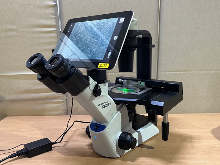 올림푸스 CKX53 생물현미경 + XY stage + 디스플레이 Camera (SJ72) : 네이버 블로그