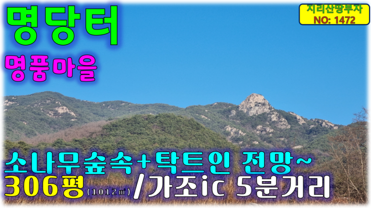 거창부동산멋진 산세와 풍경이 있는 소나무 숲속 명당마을 명품터 거창군 토지 매매거창땅매매거창토지매물거창군 가조면부동산