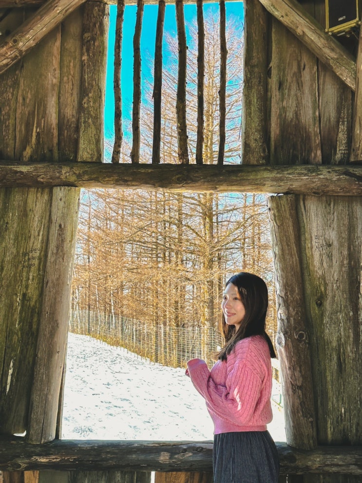 국내겨울여행지 추천 강원도 평창 눈 구경 대관령 양떼목장 주차장 네이버 블로그