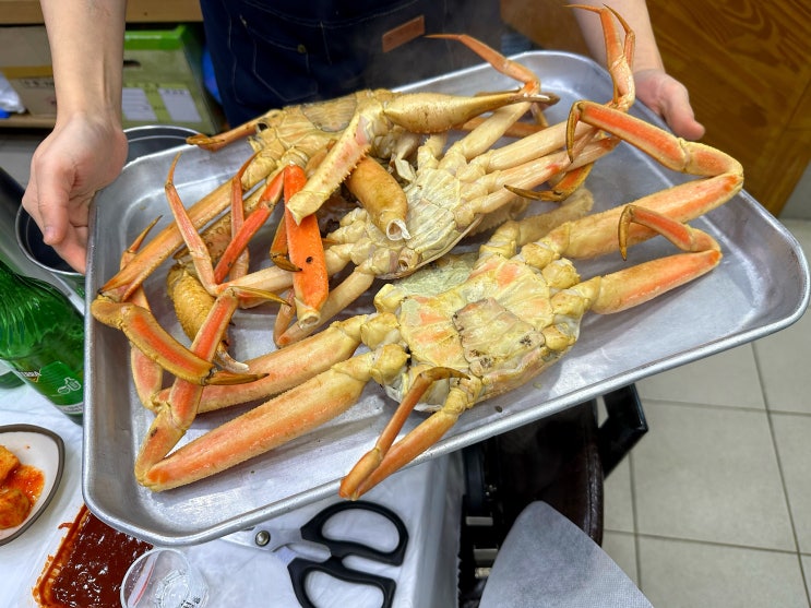 주문진 수산시장 대게 맛집 구매 후기 대게 시세 좌판풍물시장 어민수산시장 으뜸수산 북청해장국 네이버 블로그