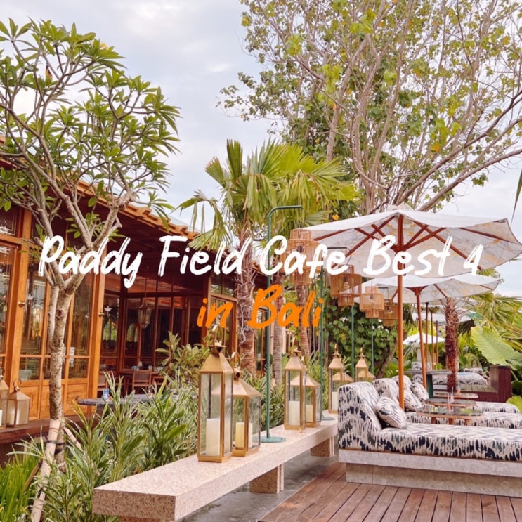 발리 여행 중에 꼭 가봐야 할 논 뷰 카페 베스트 4 @인도네시아 발리 카페 : 네이버 블로그