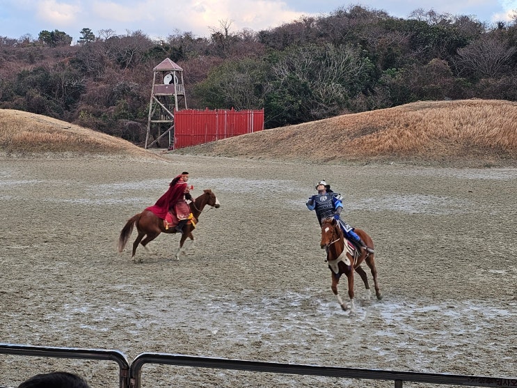 제주 서쪽 가볼만한곳 제주도 승마체험 공원 더마파크 공연 시간 말 네이버 블로그