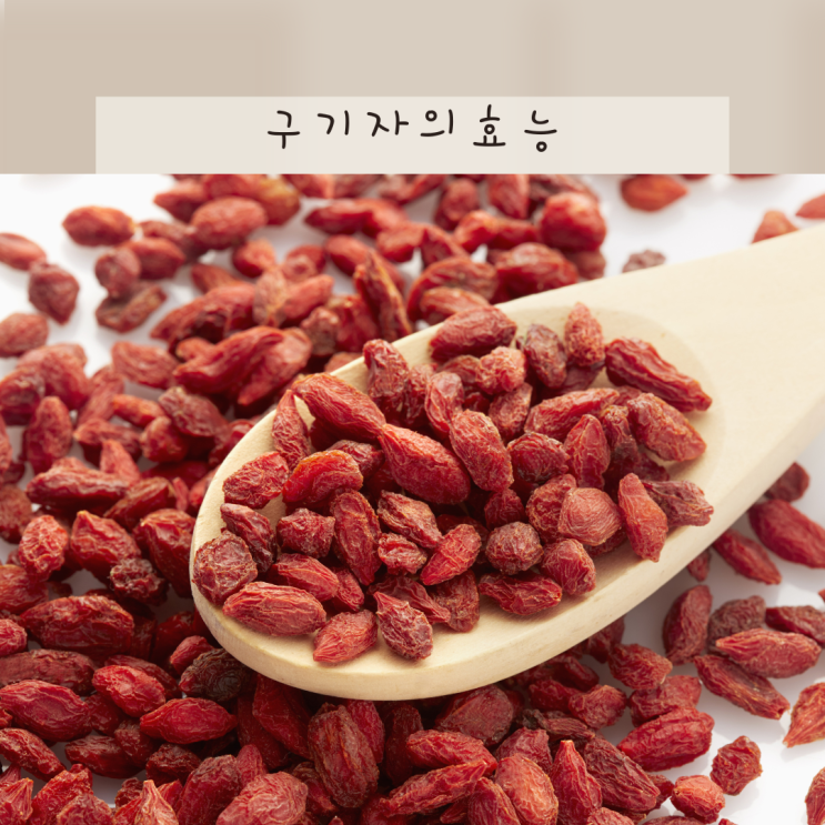 구기자의효능 구기자차 구기자가루 분말 건구기자 효능 부작용 살펴볼까 네이버 블로그