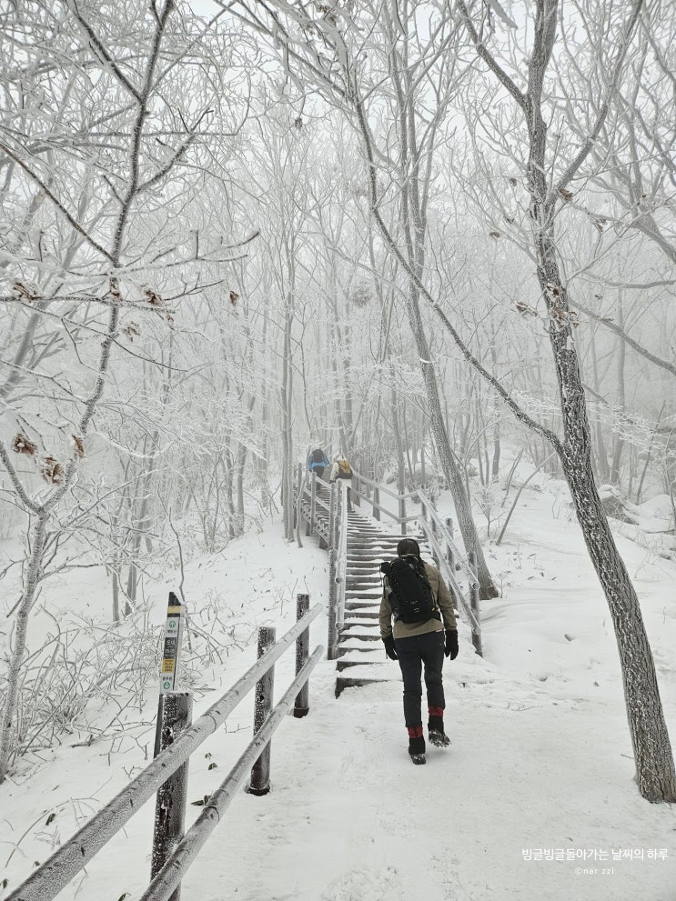 1월 계방산 최단코스 운두령 쉼터에서 눈꽃 설화 상고대 보기 네이버 블로그