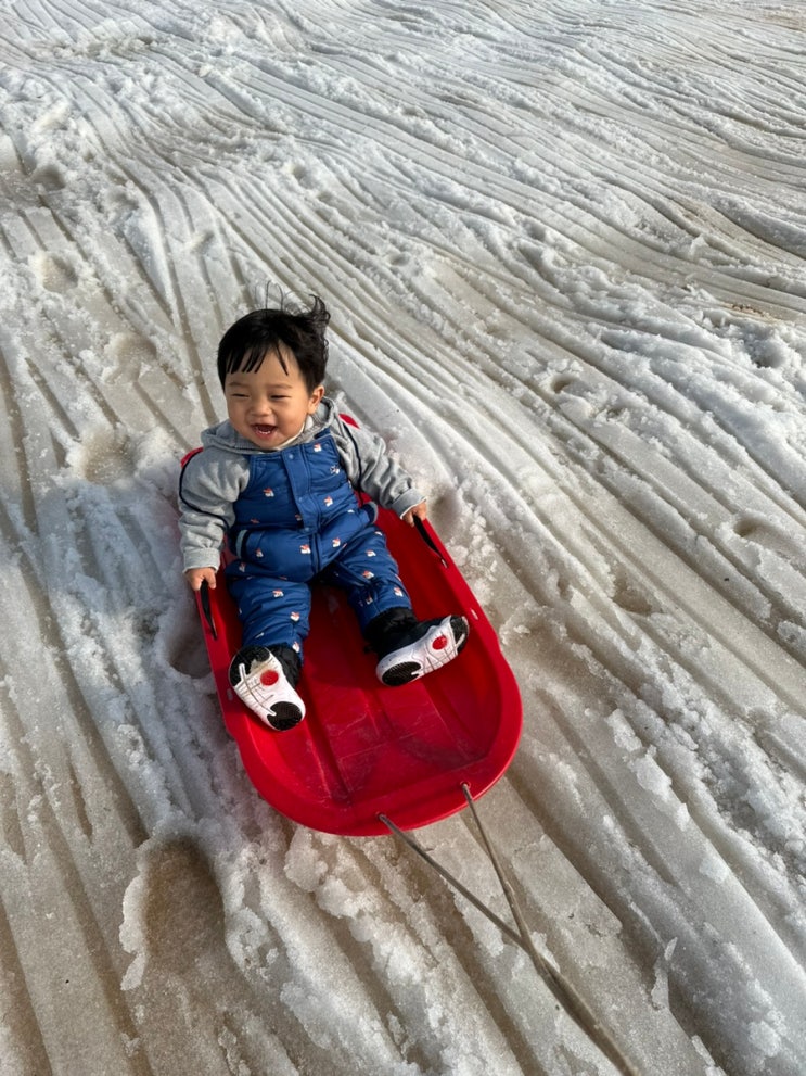 파주 대형카페 뮌스터담 무료 눈썰매장 개장 20개월 아기 다녀온 후기 : 네이버 블로그