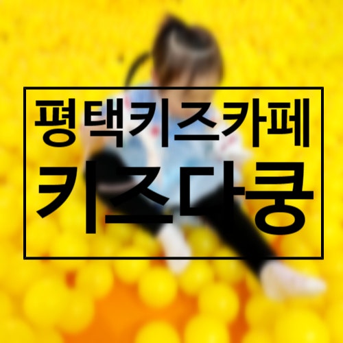 평택 대형키즈카페 키즈다쿵 평택점 키즈카페 내돈내산 후기 네이버 블로그