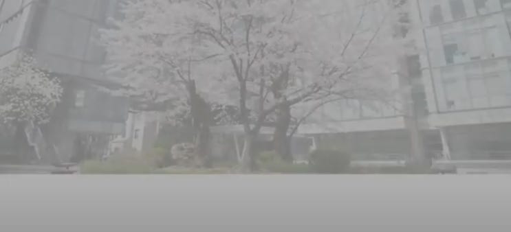이화여대 수리논술 2024학년도 이화여자대학교 자연계열 I 모의논술 기출문제 해설 네이버 블로그