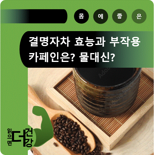결명자차 효능 부작용 물대신 먹을 때 주의사항 카페인은 네이버 블로그