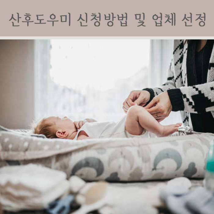 산후도우미 신청 방법 및 업체 선정 2024 하남시 정부지원금 본인부담금 전화 상담 후기 네이버 블로그