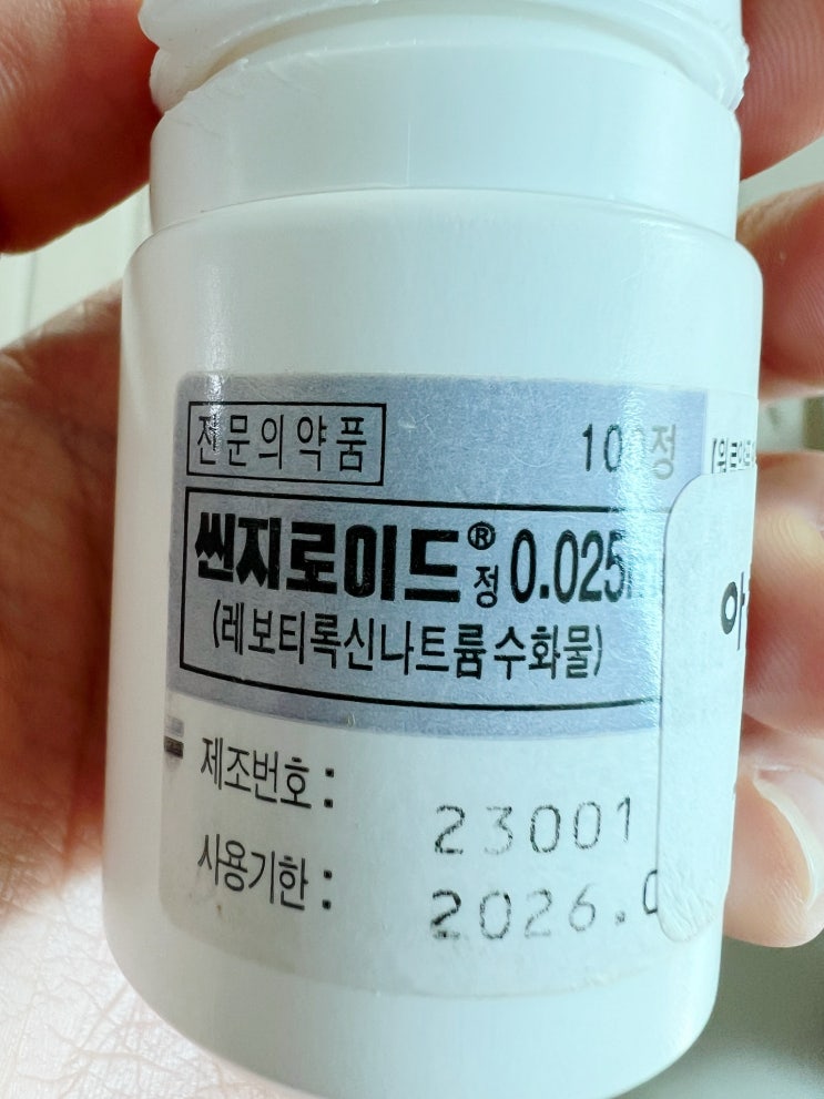 씬지로이드 복용 임산부 영양제 철분 칼슘 유산균 등 복용 순서 및 복용 시간 네이버 블로그