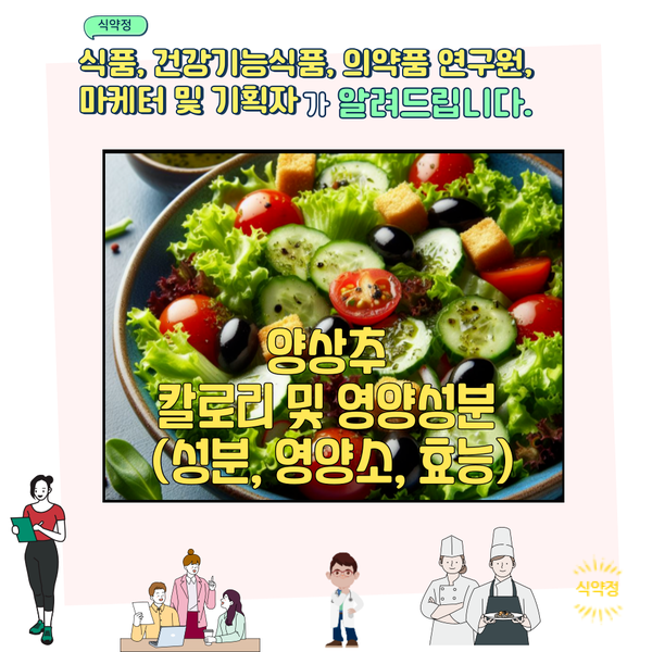 양상추 칼로리 및 영양성분 성분 영양소 효능 네이버 블로그