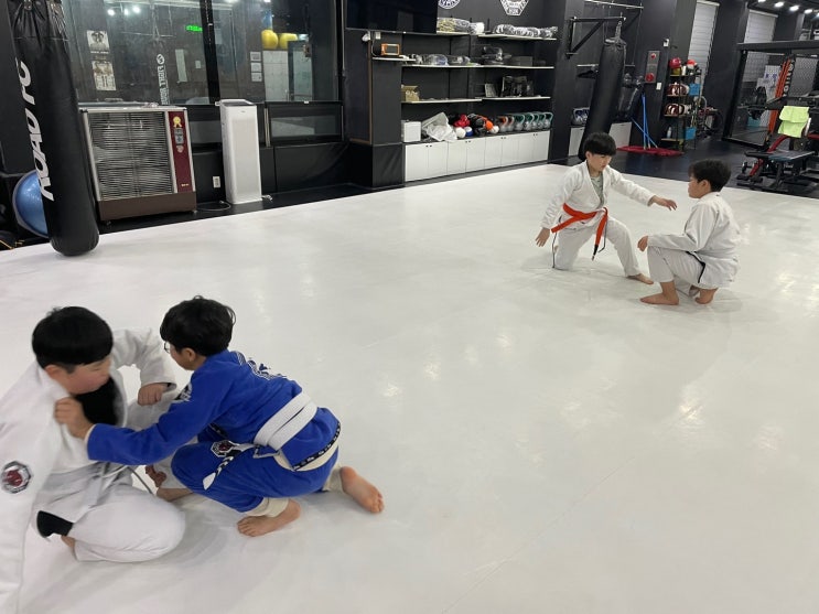 경기광주 장지동 주짓수 체력 향상 팀헌터 체육관 네이버 블로그