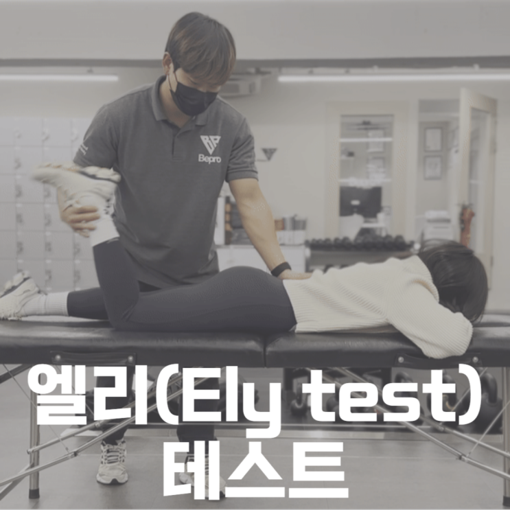 Ely test,엘리테스트에 대해 알아보자 : 네이버 블로그